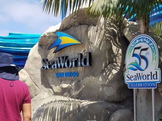 SEAWORLD - 63 Photos & 82 Reviews - Zoos - 12 Month Pass Information ...