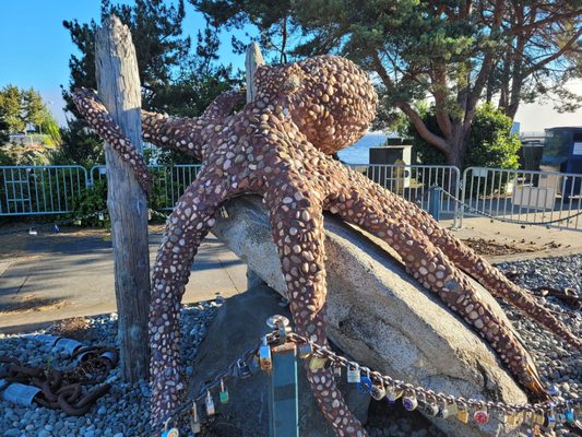 CITY PIER - 32 Photos & 19 Reviews - 308 E 4th St, Port Angeles ...