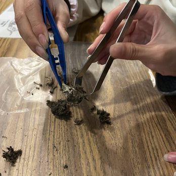 PALI INSTITUTE - Updated February 2025 - 229 Photos & 316 Reviews ...