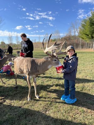 RUSTIC RETREAT DEER PARK - Updated December 2025 - N12680 Co Rd Ac ...