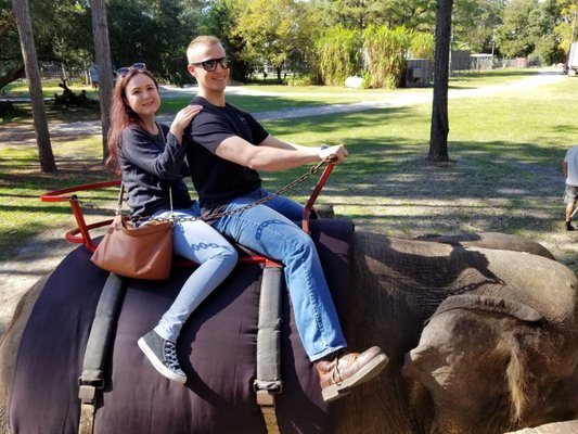 TWO TAILS RANCH - 98 Photos & 78 Reviews - 18655 NE 81st St, Williston ...