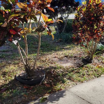 FRAZE’S SCRATCH COOKIN’ - Updated April 2025 - 49 Photos & 59 Reviews ...