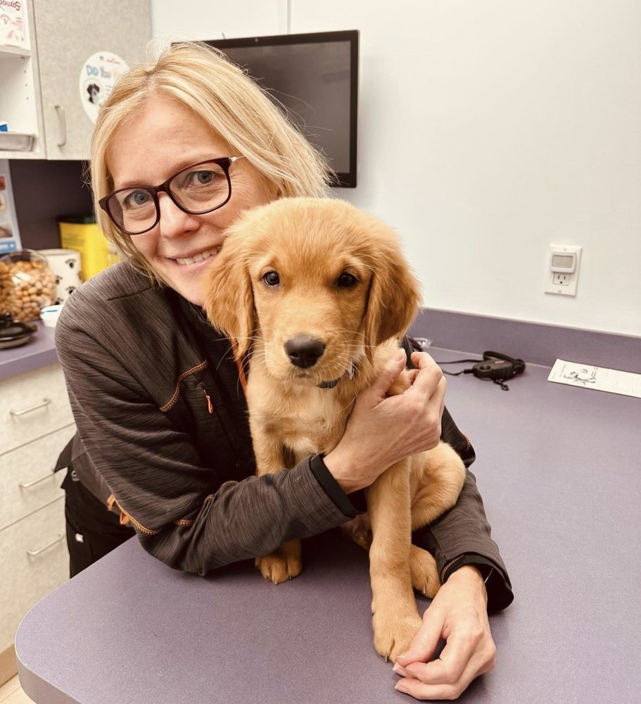 DEAN VETERINARY HOSPITAL - Updated January 2026 - 18 Photos - 10435 ...