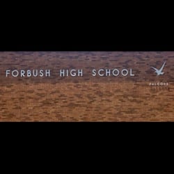 FORBUSH HIGH SCHOOL - 1525 Falcon Rd, East Bend, NC - Yelp