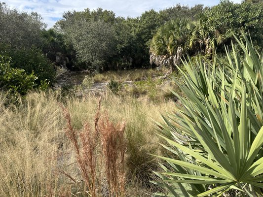 SPANISH RIVER LIBRARY - Updated January 2026 - 109 Photos & 40 Reviews ...