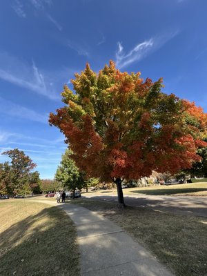 BYRD PARK - Updated December 2025 - 75 Photos & 38 Reviews - 600 S Blvd ...