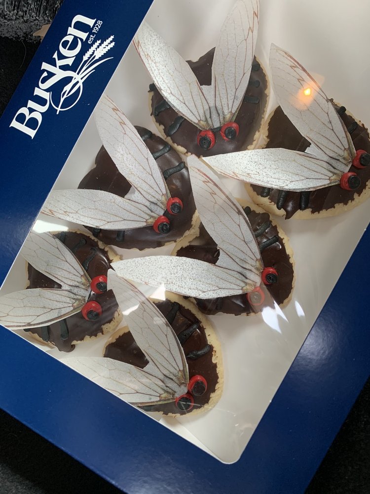 BUSKEN BAKERY - Updated August 2024 - 370 W Kemper Rd, Cincinnati, Ohio ...