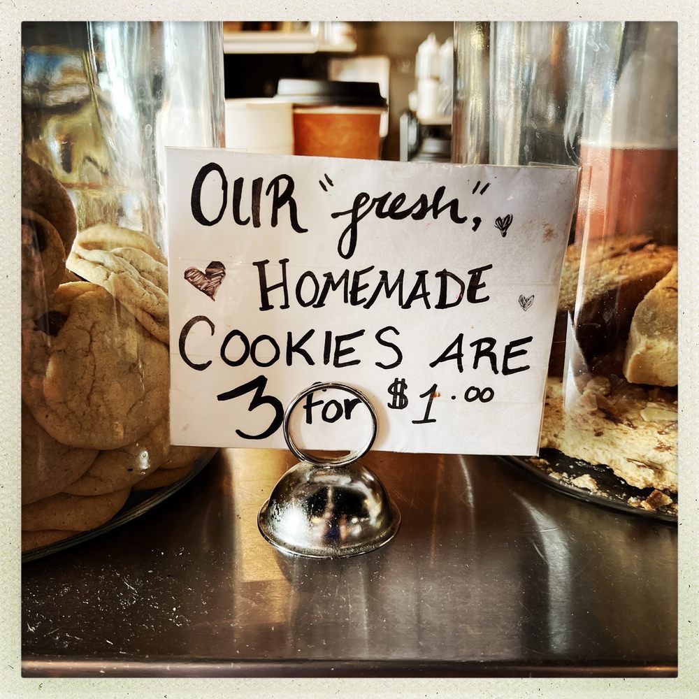 Professor Java S Coffee Sanctuary Updated January 2025 220 Photos