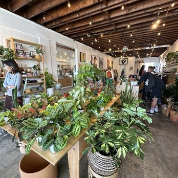 SACHI.LA - Updated January 2025 - 399 Photos & 274 Reviews - 4574 S ...