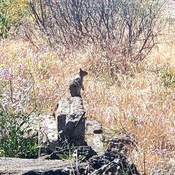 ALBANY BULB - Updated June 2024 - 954 Photos & 236 Reviews - 1 Buchanan ...