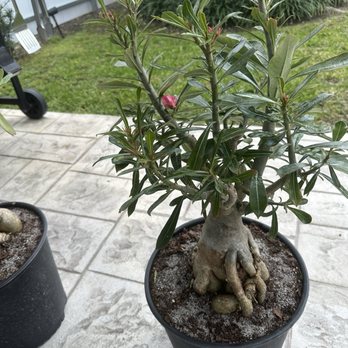 ISAAC FARMS - Updated March 2025 - 455 Photos & 112 Reviews - 18800 SW ...