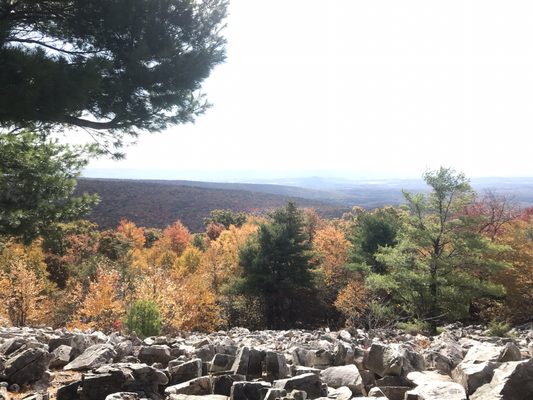 JACKSON TRAIL- ROTHROCK STATE FORREST - Updated April 2025 - 10 Photos ...