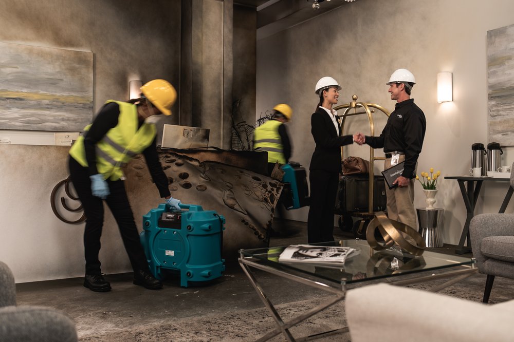 SERVICEMASTER DSI - DOWNERS GROVE - Updated December 2025 - 20 Photos ...