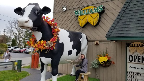 WILLIAMS CHEESE COMPANY - Updated June 2025 - 50 Photos & 20 Reviews ...