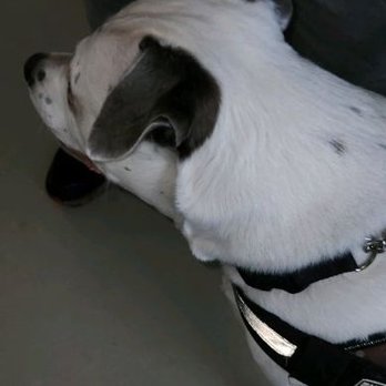 BAPTIST HEALTH BOCA RATON REGIONAL HOSPITAL - Updated December 2025 ...