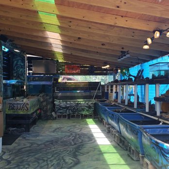 NEIGHBORHOOD FISH FARM - Updated October 2025 - 76 Photos & 74 Reviews ...