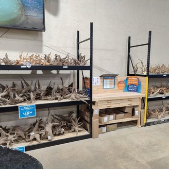 THAT FISH PLACE - THAT PET PLACE - Updated September 2024 - 147 Photos ...