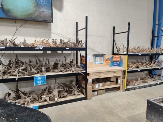 THAT FISH PLACE - THAT PET PLACE - Updated October 2025 - 149 Photos ...