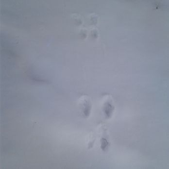 OXBOW NATURE STUDY AREA - Updated December 2025 - 139 Photos & 28 ...