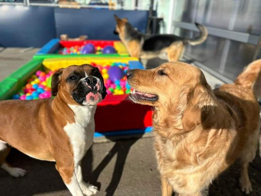 THE HAPPY HOUND PLAY PARK - Updated May 2026 - Request a Quote - 15 ...