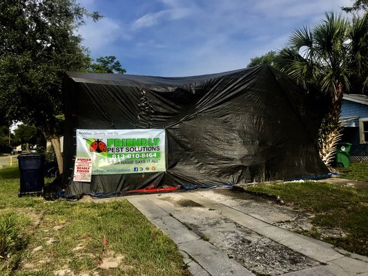 FRIENDLY PEST SOLUTIONS - Updated October 2025 - 26 Photos & 102 ...