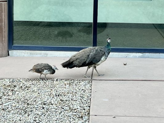 GLENDALE PUBLIC LIBRARY - Updated November 2024 - 74 Photos & 19 ...