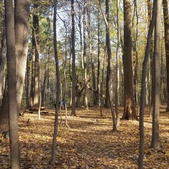 TALLMAN MOUNTAIN STATE PARK - Updated December 2025 - 116 Photos & 24 ...