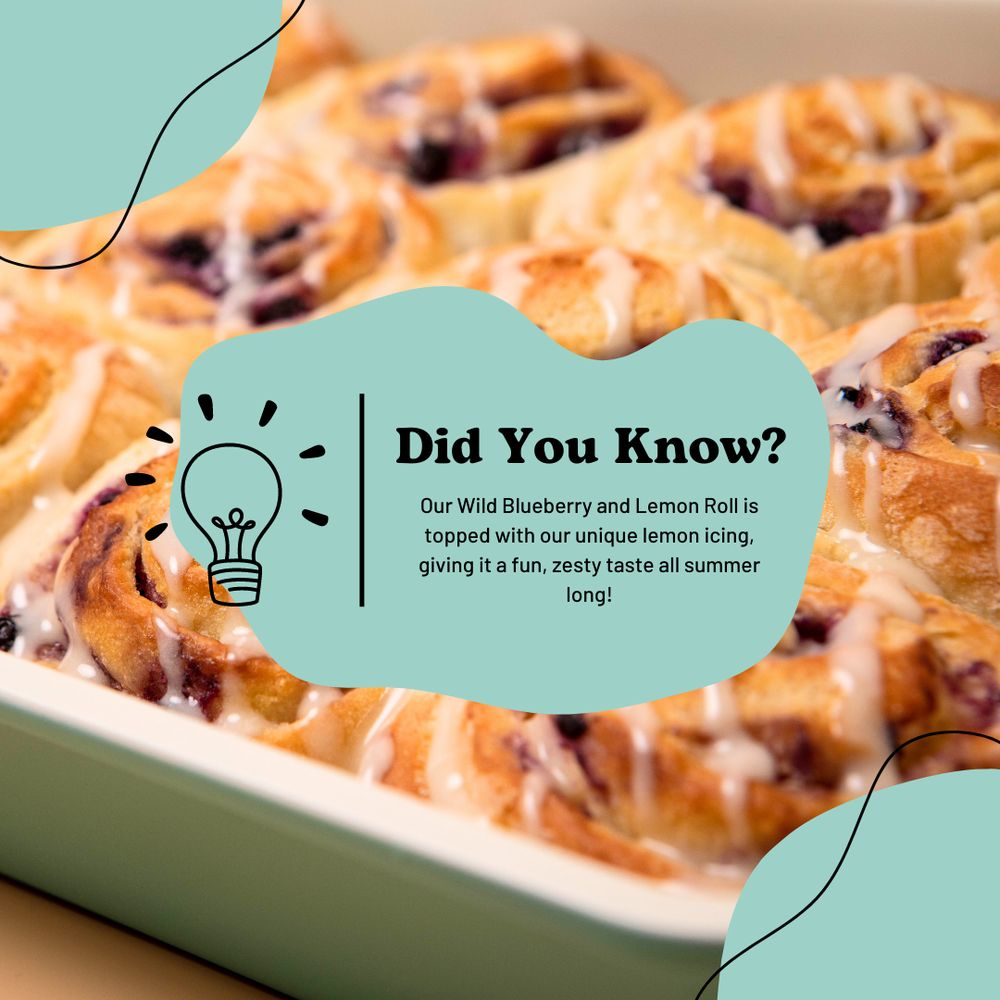 HOMEMADE TAMPA - Updated October 2025 - 15 Photos - 7811 Bullara Dr ...