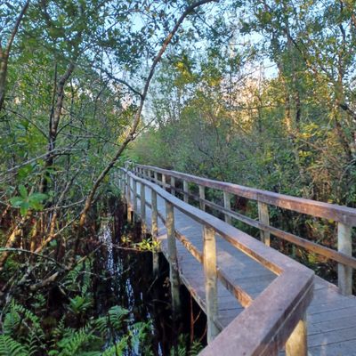 RED BUG LAKE PARK - Updated February 2025 - 250 Photos & 37 Reviews ...