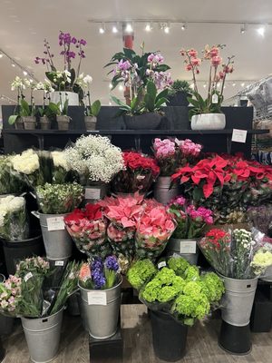 CITARELLA GOURMET MARKET - EAST HAMPTON - Updated December 2025 - 84 ...