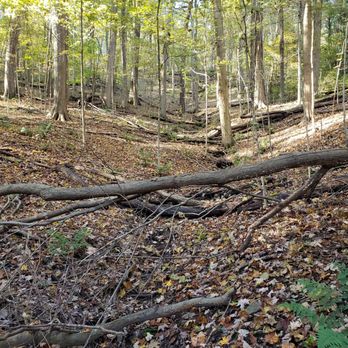 DUFF PARK - Updated October 2025 - 45 Photos & 11 Reviews - 4500 School ...