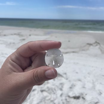 SHELL ISLAND SHUTTLE - Updated August 2025 - 32 Photos & 43 Reviews ...