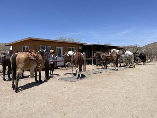 DOUBLE R GUEST RANCH - Updated December 2025 - 121 Photos & 42 Reviews ...