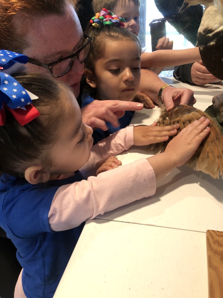 PIXIE PLAY SCHOOL - Updated June 2025 - 79 Photos & 15 Reviews - 1797 Ayers Rd, Concord ...