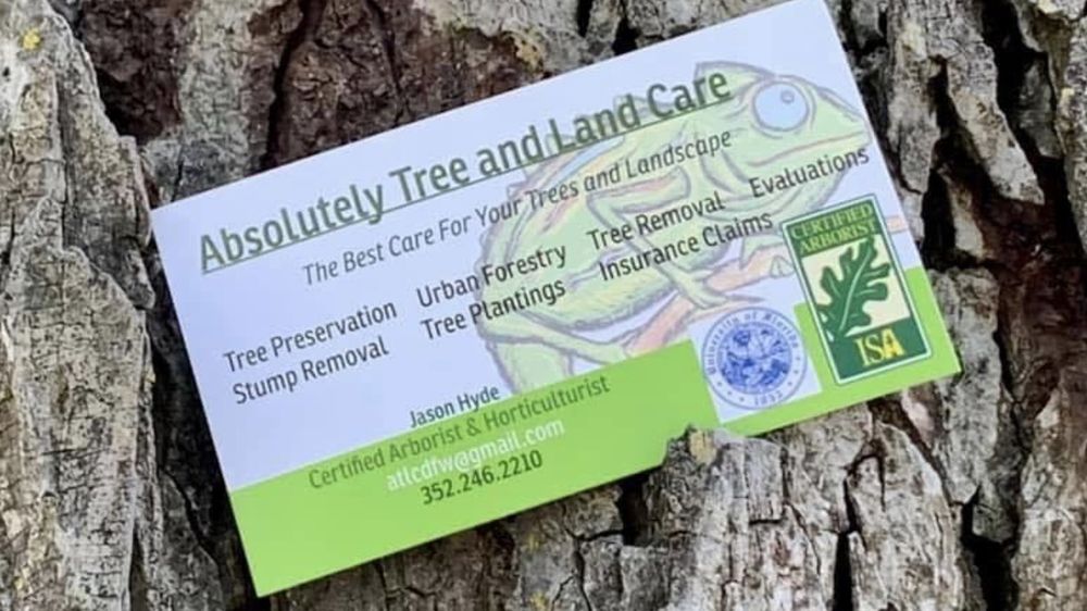ABSOLUTELY TREE AND LAND CARE - Updated December 2025 - 717 SE 4th Ave, Gainesville, Florida ...