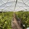 MESQUITE VALLEY GROWERS NURSERY - Updated April 2025 - 625 Photos & 238 ...