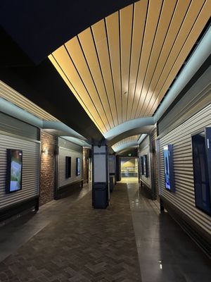 APPLE CINEMAS - Updated January 2026 - 68 Photos & 114 Real Reviews ...