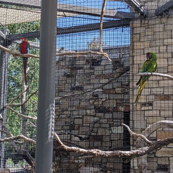 TRACY AVIARY - Updated June 2025 - 529 Photos & 192 Reviews - 589 E ...