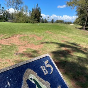 HAWAII PRINCE GOLF CLUB - 320 Photos & 118 Reviews - 91-1200 Fort ...