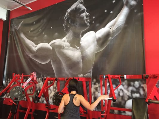 METROFLEX GYM - Updated December 2025 - 22 Photos & 37 Reviews - 1950 W ...