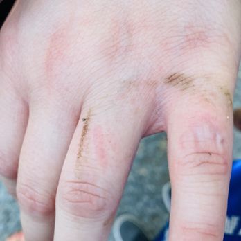 FAWN DOE ROSA - Updated June 2025 - 124 Photos & 40 Reviews - 2131 US ...