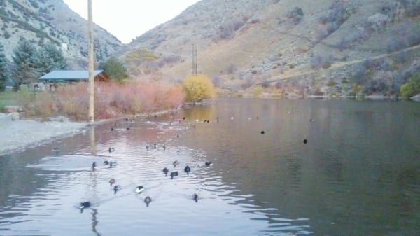 FIRST DAM PARK/CANYON ENTRANCE PARK - Updated October 2025 - US 89 ...