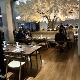 JANKEN - Updated August 2025 - 1429 Photos & 428 Reviews - 250 NW 13th ...