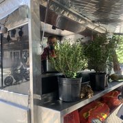 OCTOPUS FALAFEL TRUCK - 635 Photos & 468 Reviews - 20th & Ludlow St ...