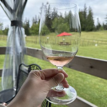 DANCING FISH VINEYARDS - Updated December 2025 - 62 Photos & 47 Reviews ...