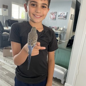 MAGNOLIA BIRD FARM - 115 Photos & 151 Reviews - 12200 Magnolia Ave ...