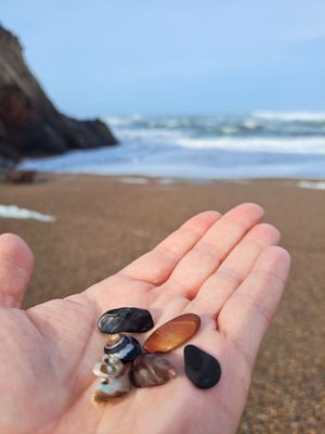 POINT BUCHON TRAIL - Updated November 2025 - 103 Photos & 21 Reviews ...