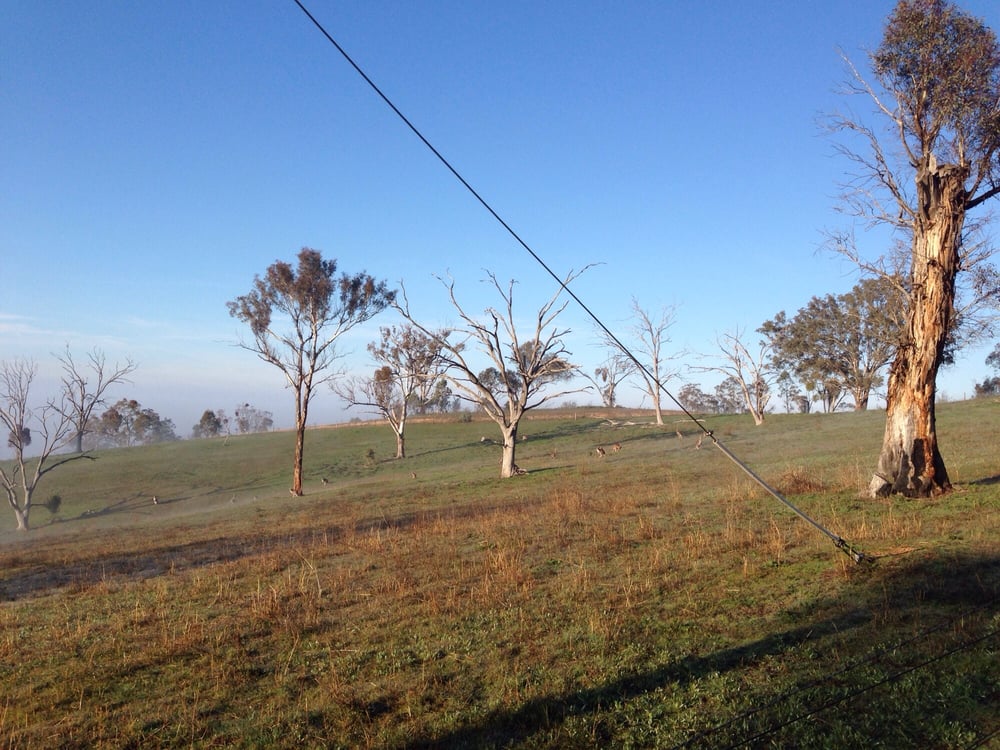 BATHURST GOLDFIELDS - 428 Conrod Strght, Mount Panorama New South Wales ...