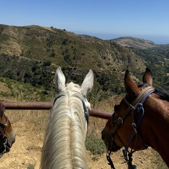 CIRCLE BAR B STABLES - Updated October 2024 - 667 Photos & 460 Reviews ...