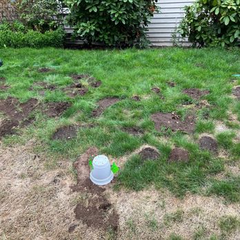 ISSAQUAH PEST CONTROL - Updated September 2025 - 26 Photos & 310 ...